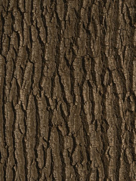 Image result for Tree Texture Maya