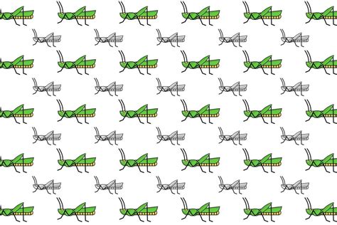 Image result for Grasshopper Rectangular Pattern