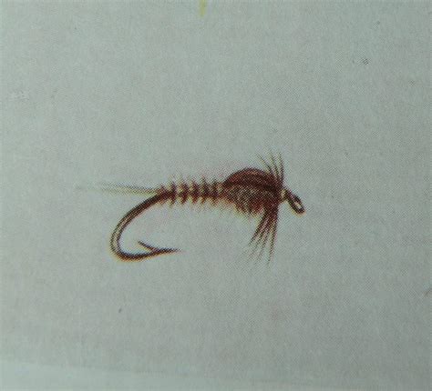 Image result for Effective Trigger Nymph Patterns