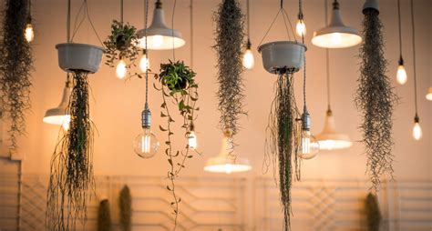 Image result for LED Candle Bulbs