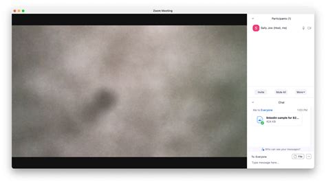 Image result for Problems Using Zoom