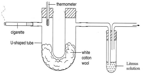Image result for Science Project On Smoking