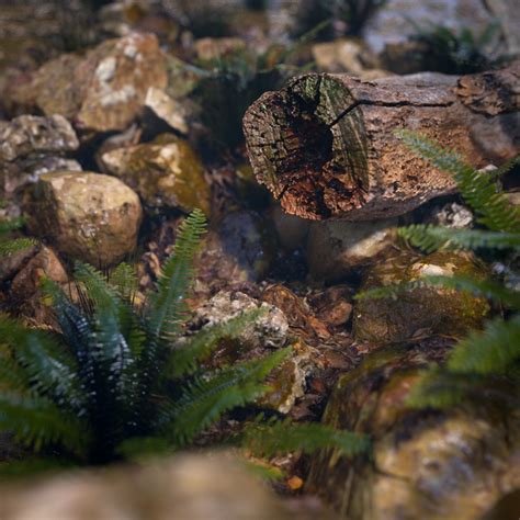 Image result for Quixel Scanner