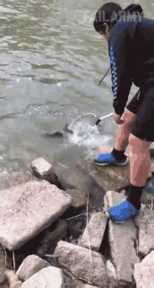 Image result for Fish Fail