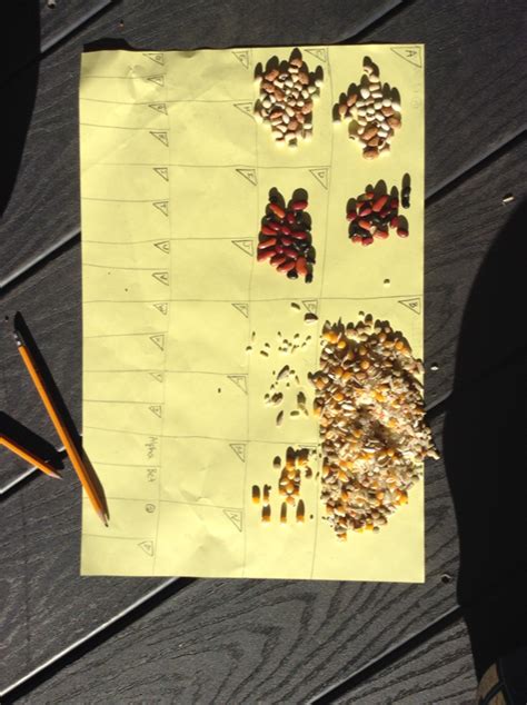 Image result for Classifying Objects in Science