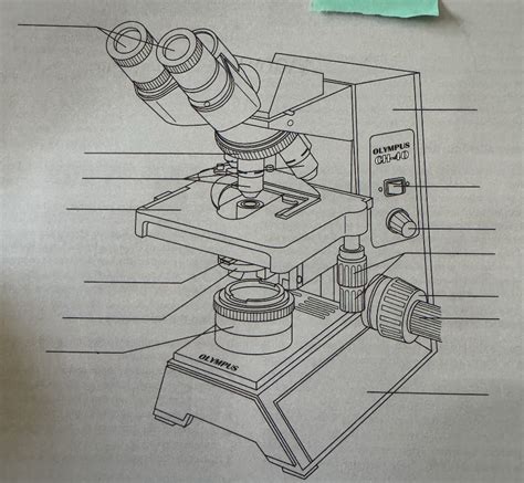 Image result for Microscope Label Diagram