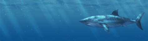 Image result for HD Multi-Screen