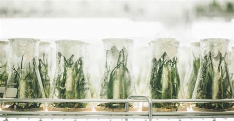 Image result for Advanced Placement Environmental Science