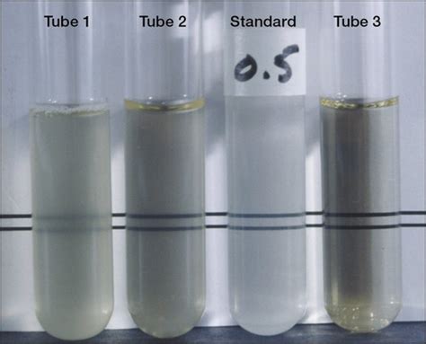 Image result for Disk Diffusion Method
