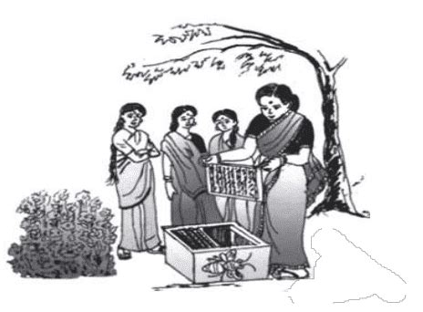 Image result for Rural Development Class 12