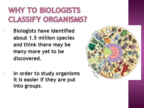 Image result for Why Do Biologists Use Classification