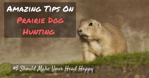 Image result for Prairie Dog Hunting Tips