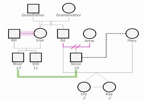 Image result for Three-Generation Genogram