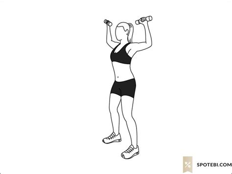 Image result for Chest Fly Exercise Drawing