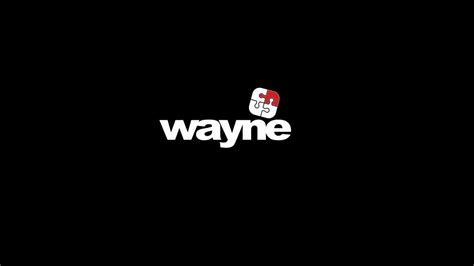 Image result for Wayne Problem-Solver
