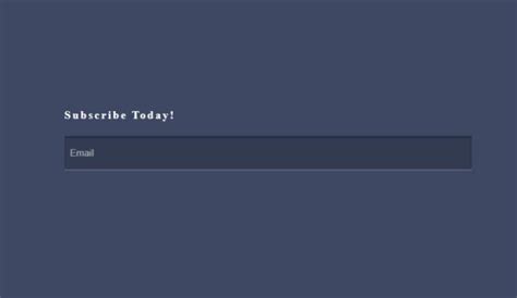 Image result for Input CSS