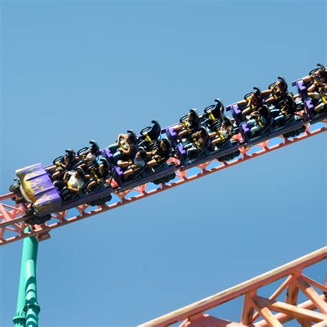 Image result for Xcelerator Roller Coaster