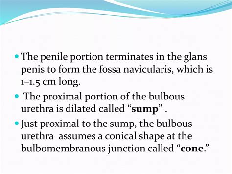 Image result for Retrograde Urethrogram Template