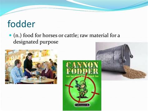 Image result for Define Fortify