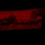 Image result for RDR1 Loading Screen