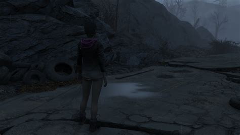 Image result for Fallout 4 CBBE Mod Installation