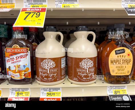 Image result for Spring Tree Maple Syrup