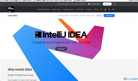 Image result for Idea Software Download