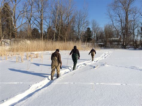 Image result for Snow Sampling
