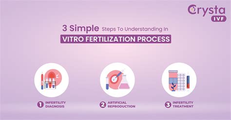 Image result for IVF Process