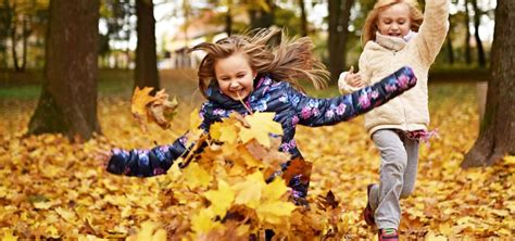 Image result for ABC Mouse Bot