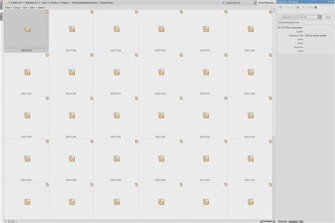 Image result for ACDSee Pro 8 Tutorial