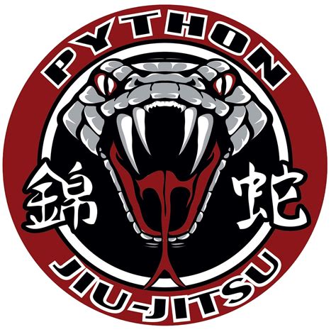 Image result for Jujitsu Python