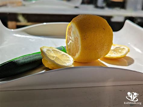 Image result for Lemon Volcano