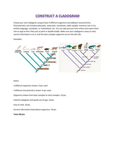 Image result for How to Make Cladogram