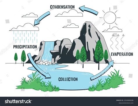 Image result for Water Cycle Model