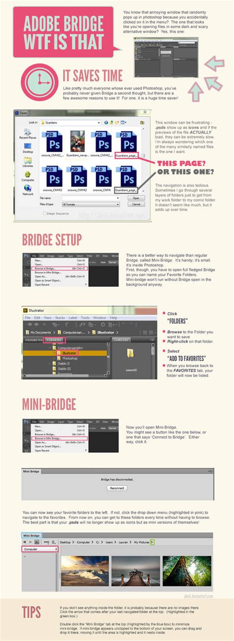 Image result for Bridge Editing Tutorial