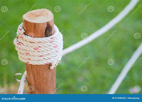 Image result for Spring Pole Knot