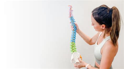 Image result for AVG Back Shape