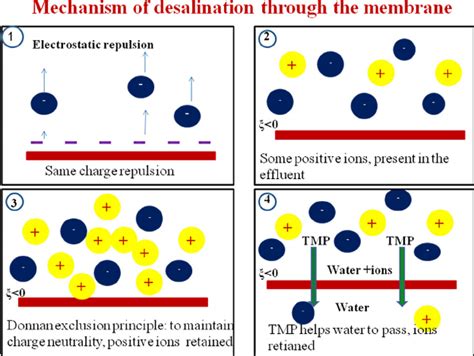 Image result for Column Repulsion