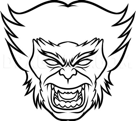 Image result for Beast Tutorial