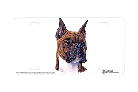 Image result for Boxer License Plate