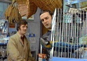 Image result for Monty Python Parrot