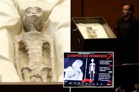 Image result for Alien Found Alive