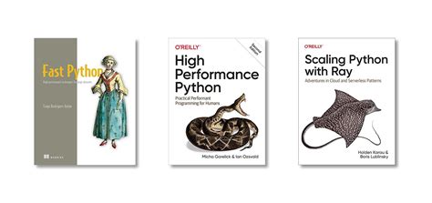 Image result for Fast Python Books