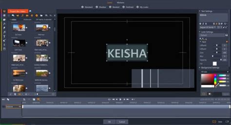 Image result for Pinnacle Studio Lower Third Examples