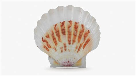 Image result for 2DS Clam Shell Mod