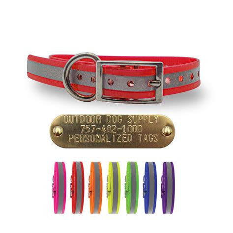 Image result for Metal Collars for Dogs