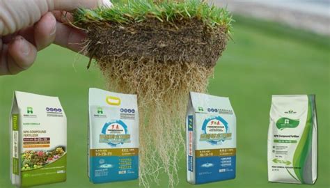 Image result for NPK Explained