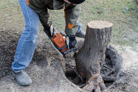 Image result for How to Pull Small Tree Stumps Out