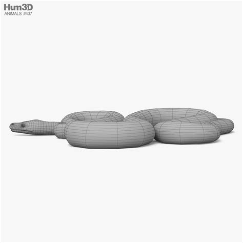 Image result for Python 3D Model